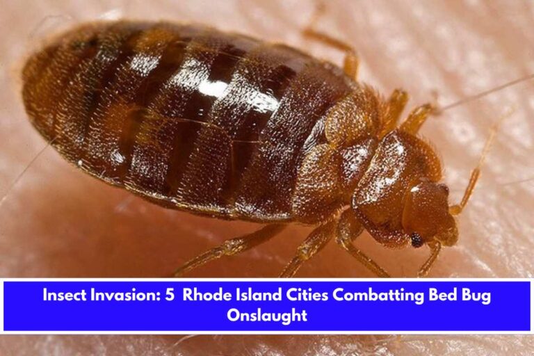 Insect Invasion: 5 Rhode Island Cities Combatting Bed Bug Onslaught ...
