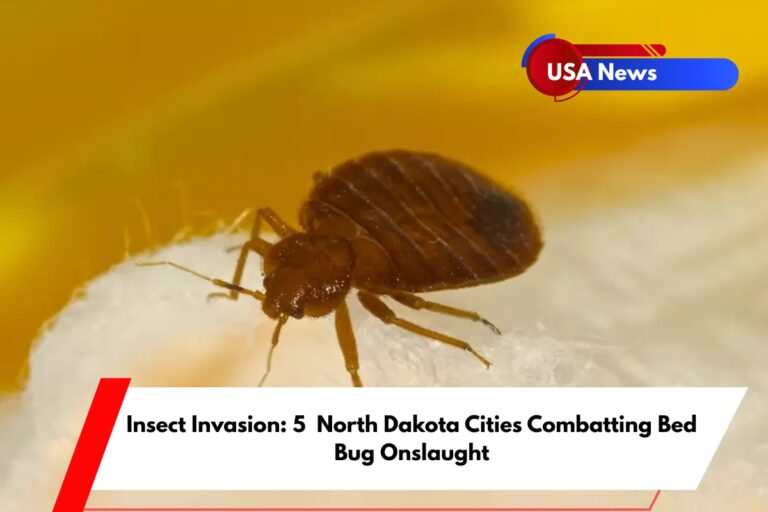 Insect Invasion: 5 North Dakota Cities Combatting Bed Bug Onslaught ...